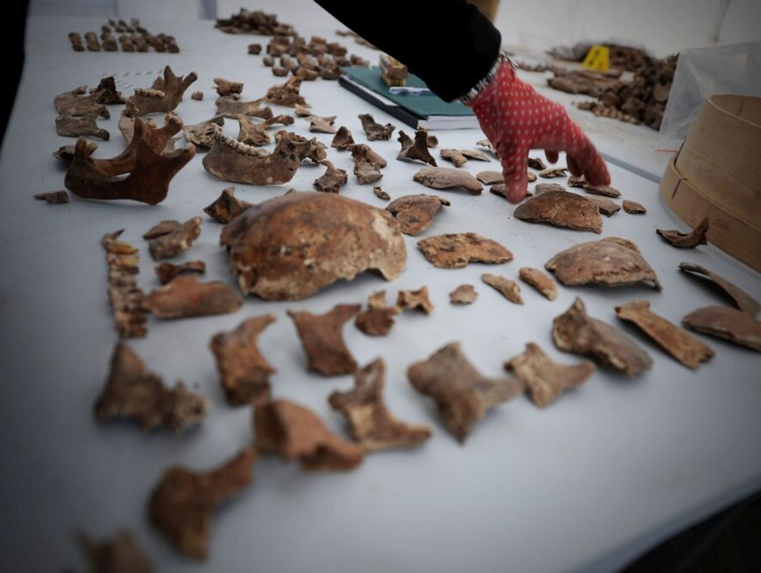 14.11 w Mościskach odbędzie się pogrzeb żołnierzy 10. Brygady Kawalerii ...